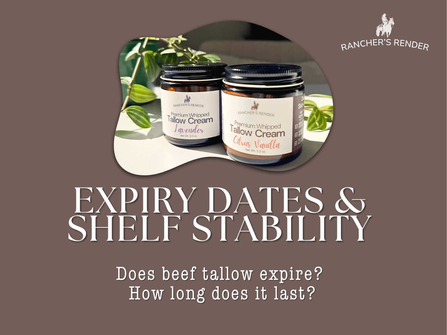 spoiled beef tallow